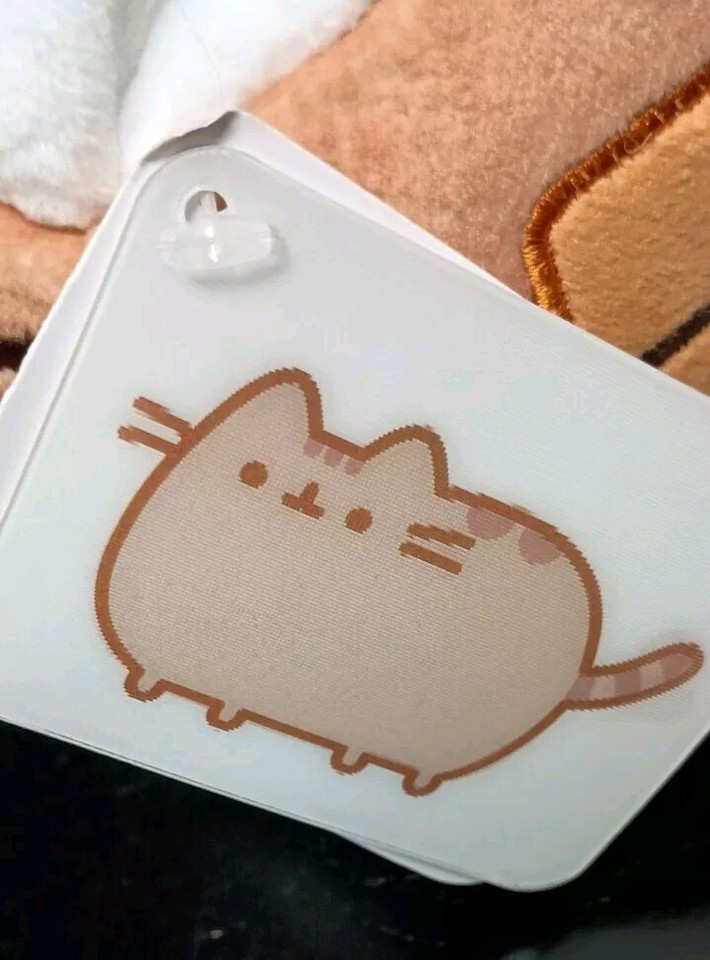 Pusheen CHOCOLATE MILK Plush 6-Inch Kitty Cat Milk Carton Gund NWT ...