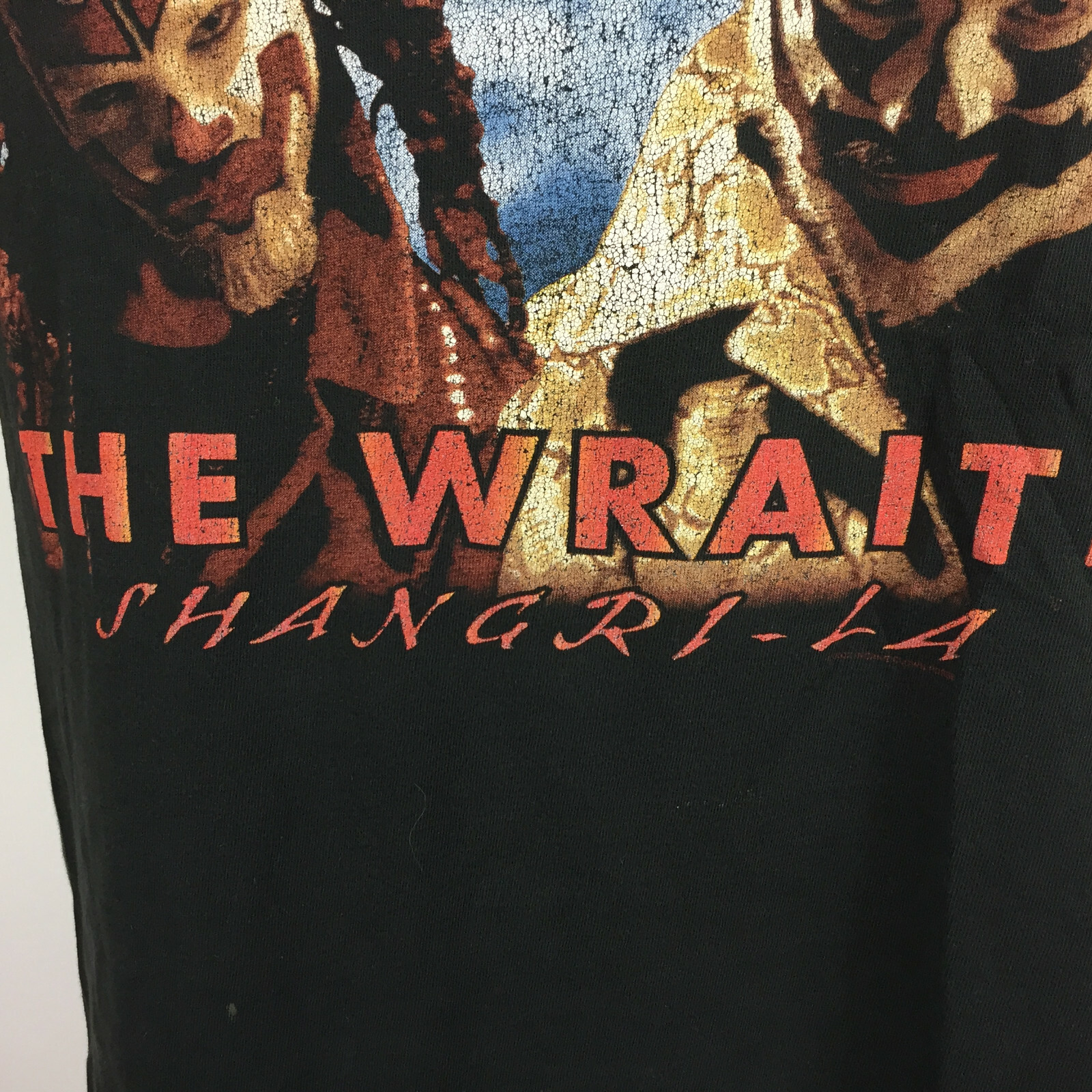 Vintage Rare ICP Insane Clown Posse Shangri La The Wr… - Gem