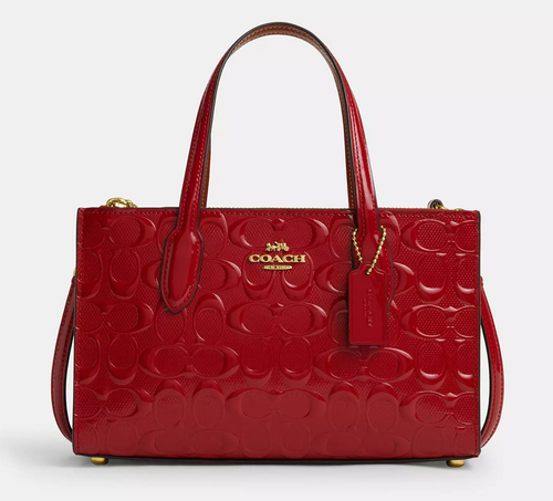 NWT Coach Nina Small Tote Bag In Signature Leather CV400/CT854 | eBay