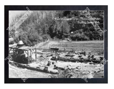 Historic E H Lester Logging Camp - Pluvius, Washington Logging Postcard ...