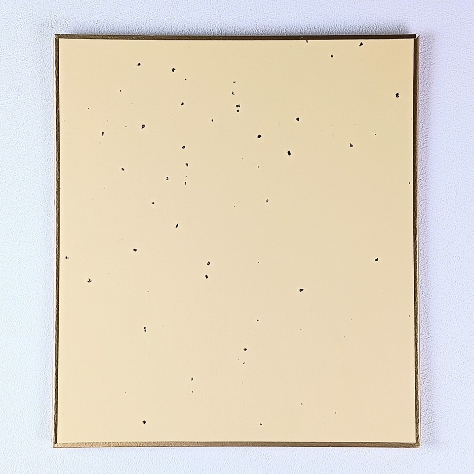 Sí! Precure 5GoGo! - Precure 20th Special Original Shikishi Art (Japón ...