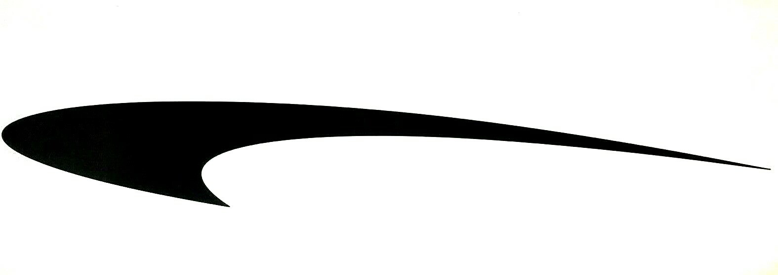 LARGE BLACK HOOK DECALS / GRAPHICS RV STRIPES TRAILER CAMPER BOAT SEMI ...