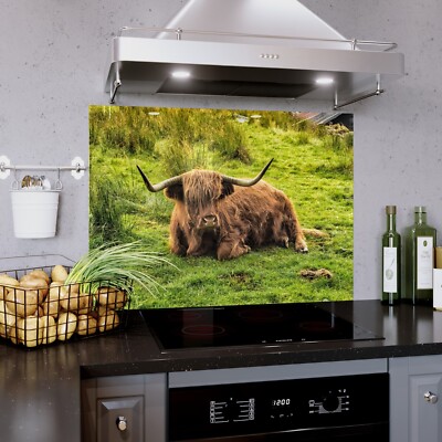 Glass Splashback Kitchen Tile Cooker Panel ANY SIZE Highland Cow Bull ...