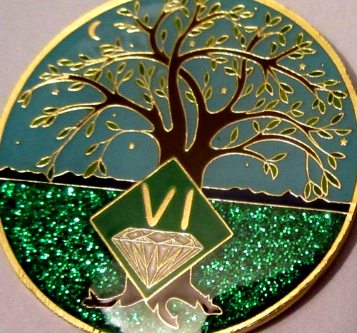 Narcotics Anonymous NA Tree Green 6 Year Medallion Gold Black | eBay