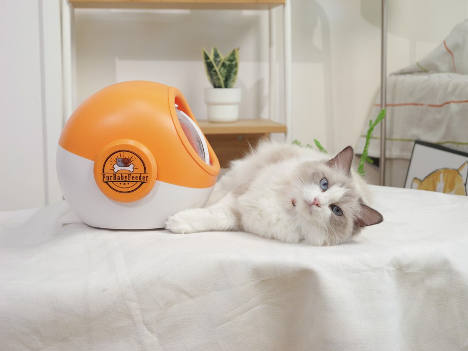 FurBabyFeeder® Sphere Automatic Microchip Pet Feeder - Uses RFID Tag ...