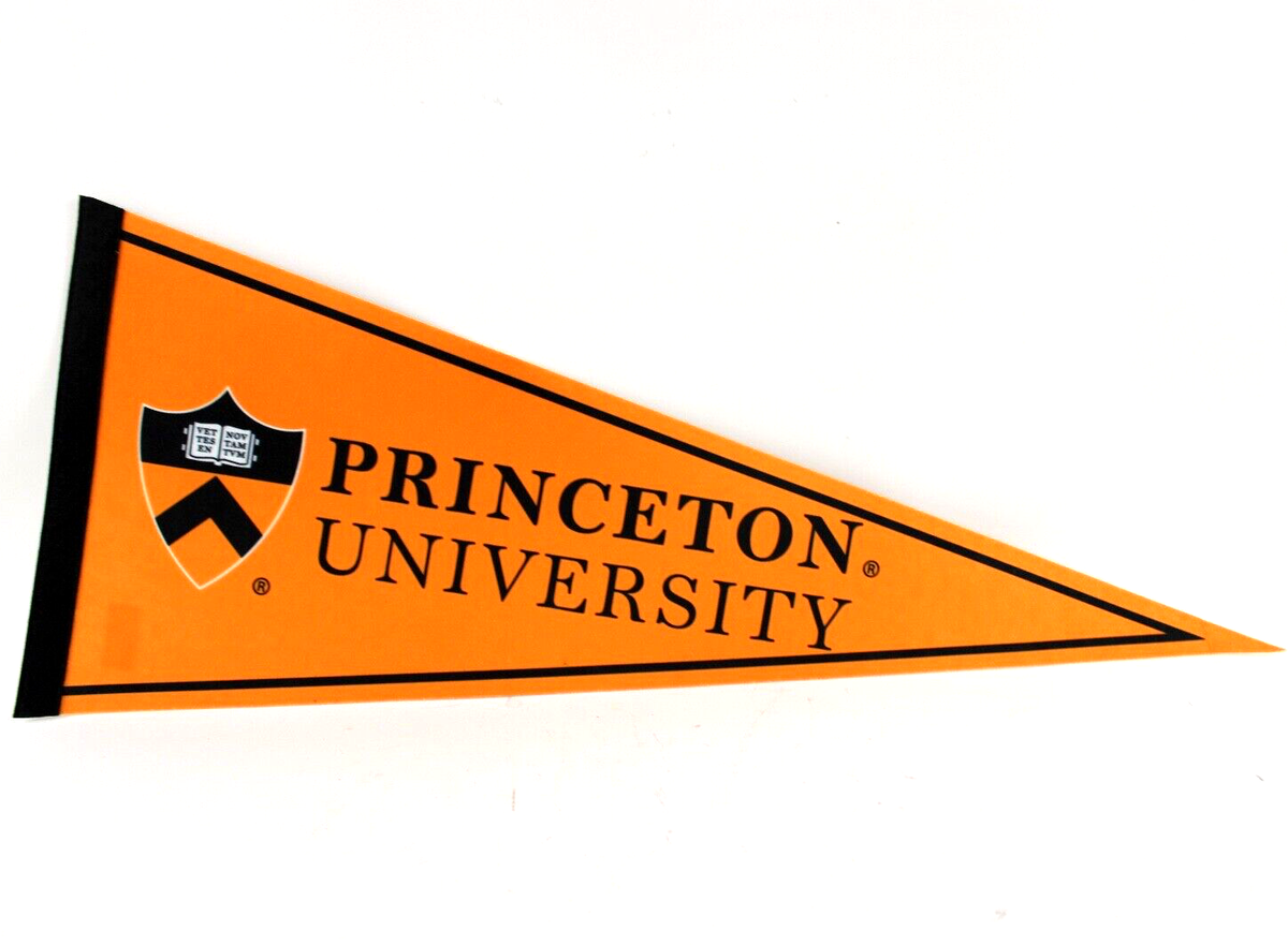 Princeton Logo Vector Identity Management Powered By Biometrics