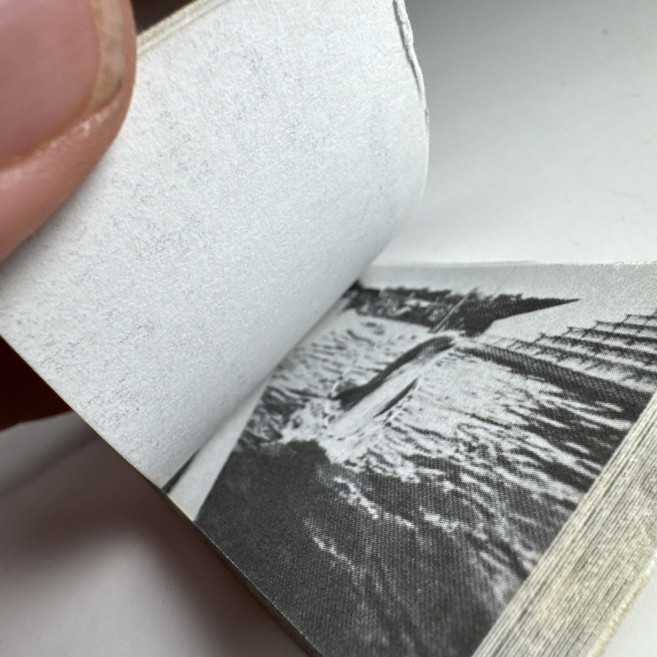 FLIPIX Animated Motion Picture FLIP Book FLIPPER Jumping Dolphin ...