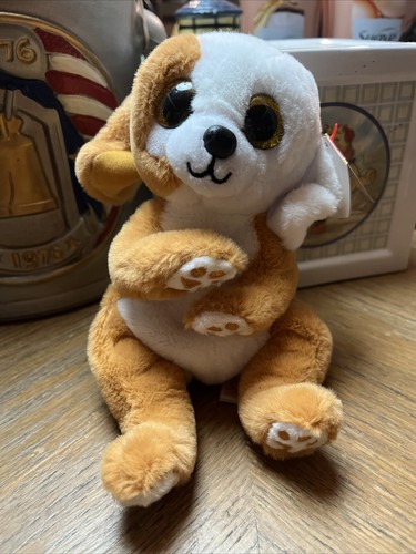 New! 2022 TY Beanie Baby (Beanie Bellies) - RUGGLES the Dog (6 inch ...