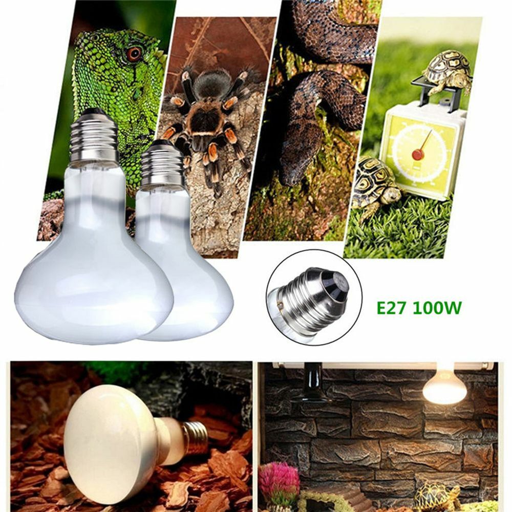 E27 220V 25/50/75/100W Reptile Lizard Basking Light Warm Lamp UVA ...