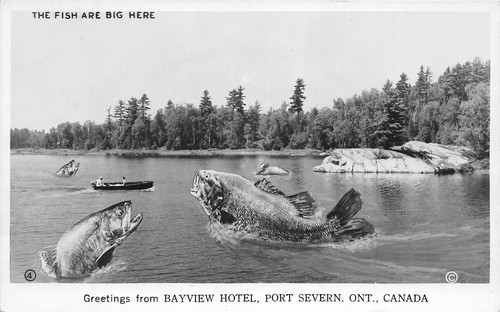 J37/ Port Severn Ontario Canada RPPC Exaggeration Postcard c1940s ...