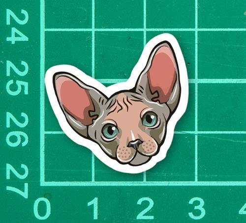 Hairless Cat Sticker Decal Sphynx kitty kitten breed | eBay