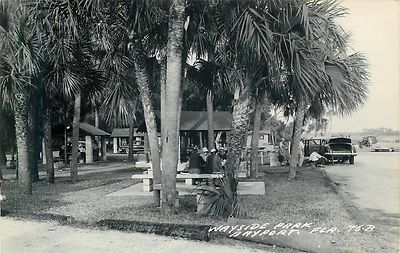 BAYPORT FLORIDA WAYSIDE PARK VINTAGE REAL PHOTO POSTCARD VIEW | eBay