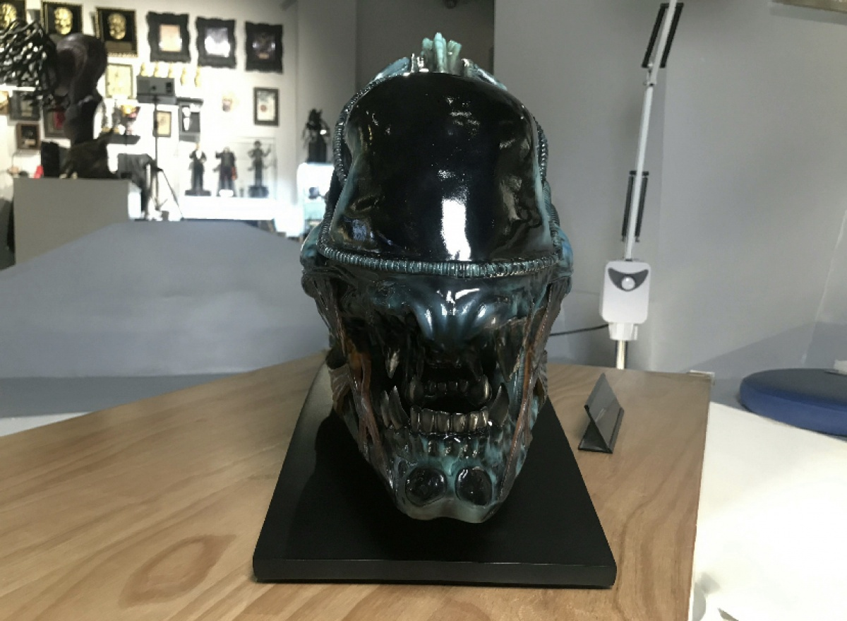 Coolprops Alien Xenomorph 1/1 Head Statue Figure Resin Collectible ...