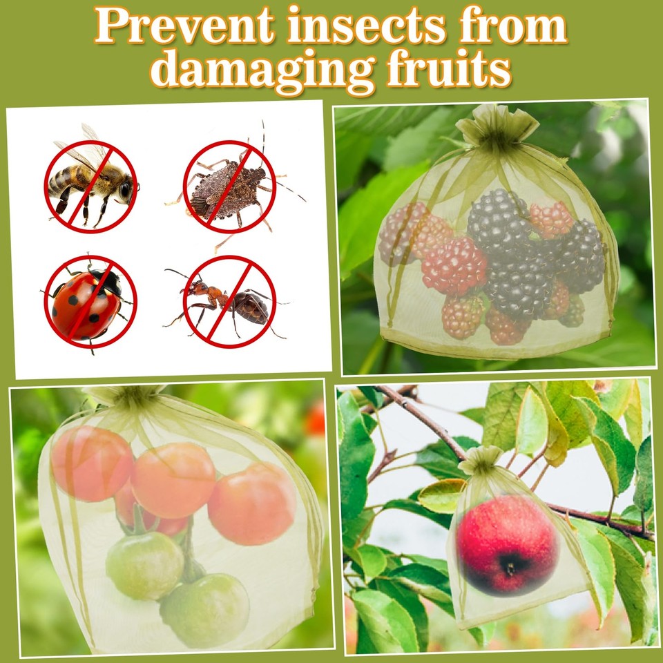 50Pcs Fruit Protection Bags Reusabel Garden Fruit Tree Bags for Mango ...
