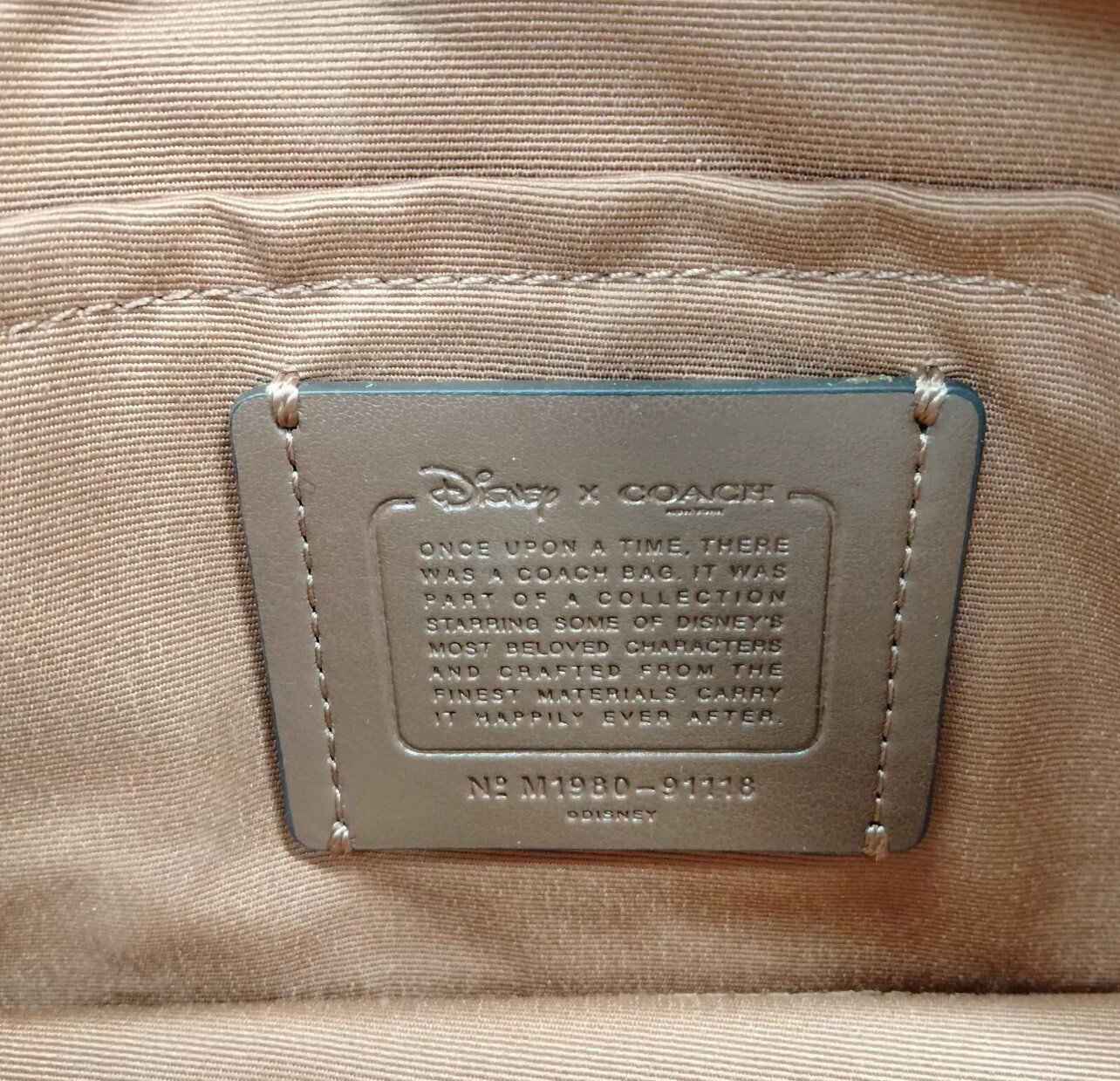 DISNEY x COACH Collab Leather Crossbody Bag | eBay