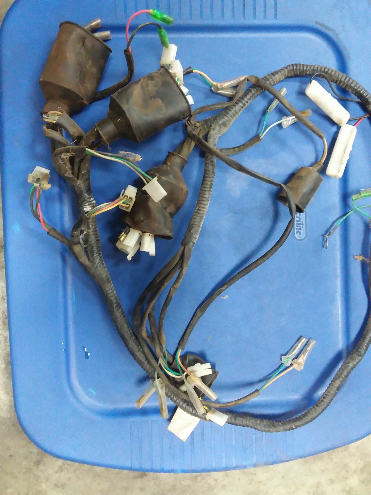 Schwinn Campus Collegiate main electrical wiring harness loom wires Oem ...