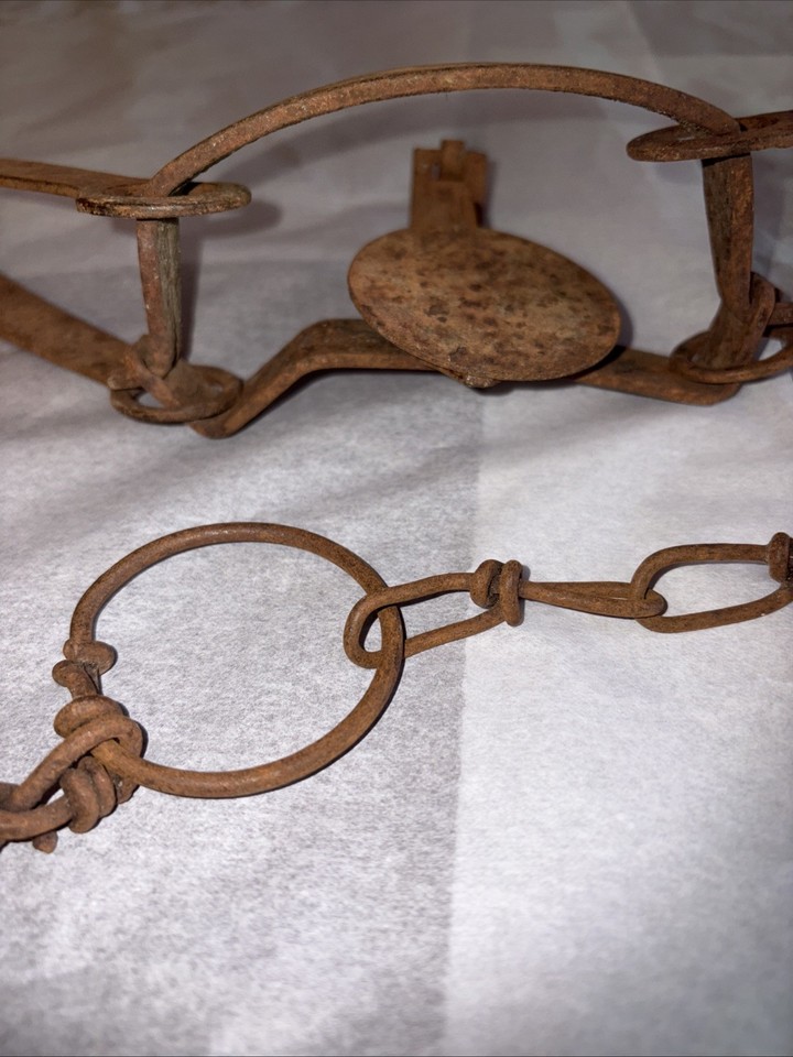 Vintage Rustic Unknown Brand Double Long Spring Animal Trap Decor | eBay