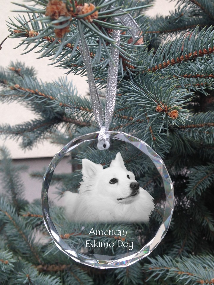 American Eskimo Dog, American Spitz, Eskie - Crystal Ball With Photo, S ...