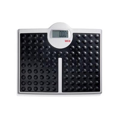 seca 813 - High Capacity Digital Flat Scale for Individual Patient use ...