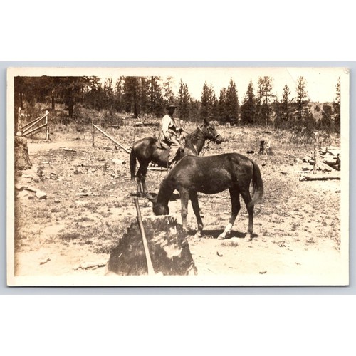 Postcard Real Photo RPPC Man on Horse Working Farm Homestead AZO 1904 ...