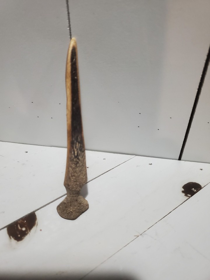 Authentic Native American Bone Projectile Arrowhead Spear Poiny Clovis ...