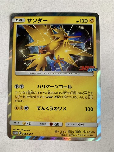 Pokemon Card / Carte Zapdos Promo Holo 305/SM-P | eBay