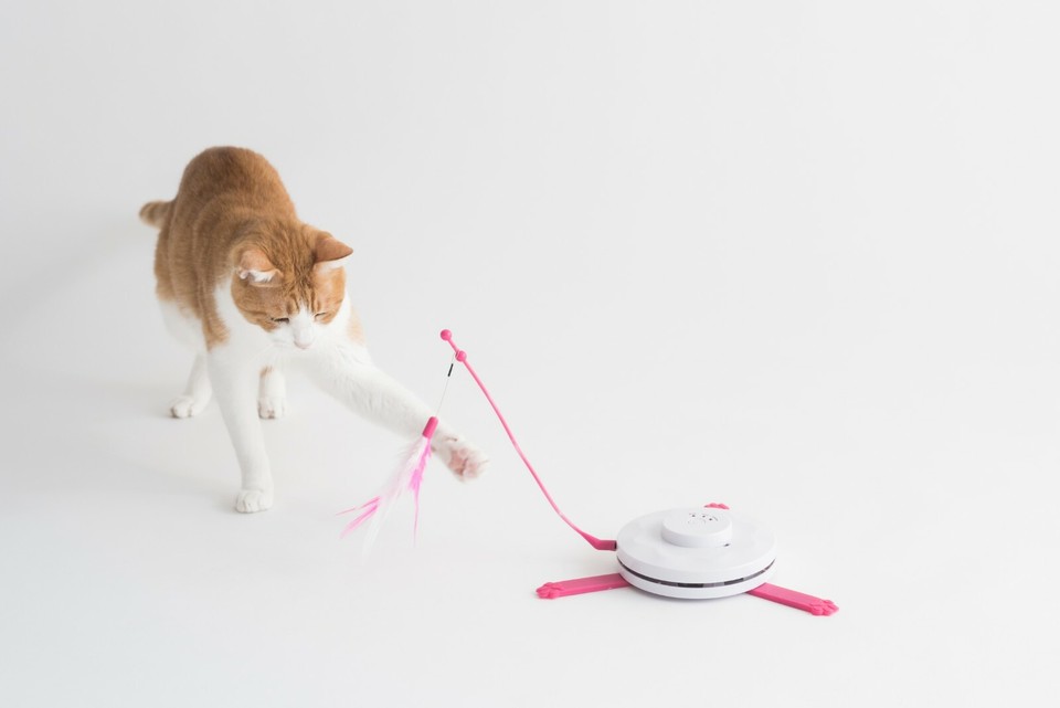 UnderCover Mouse Interactive Cat Toy, 2 in 1 Function 889270715100| eBay