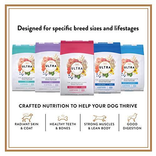 NUTRO ULTRA Adult Small Breed High Protein Natural Dry Dog Food with a ...