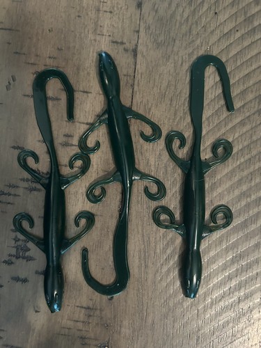 Lizard fishing bait, striped bass, bass, fishing, lake life | eBay