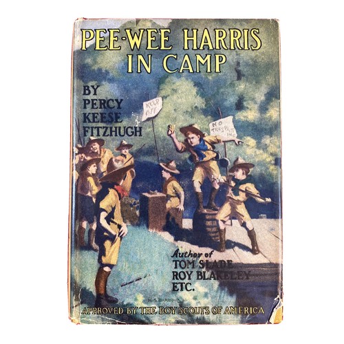 Antique Pee-Wee Harris In Camp by Percy Keese Fitzhugh BSA HCDJ 1922 | eBay