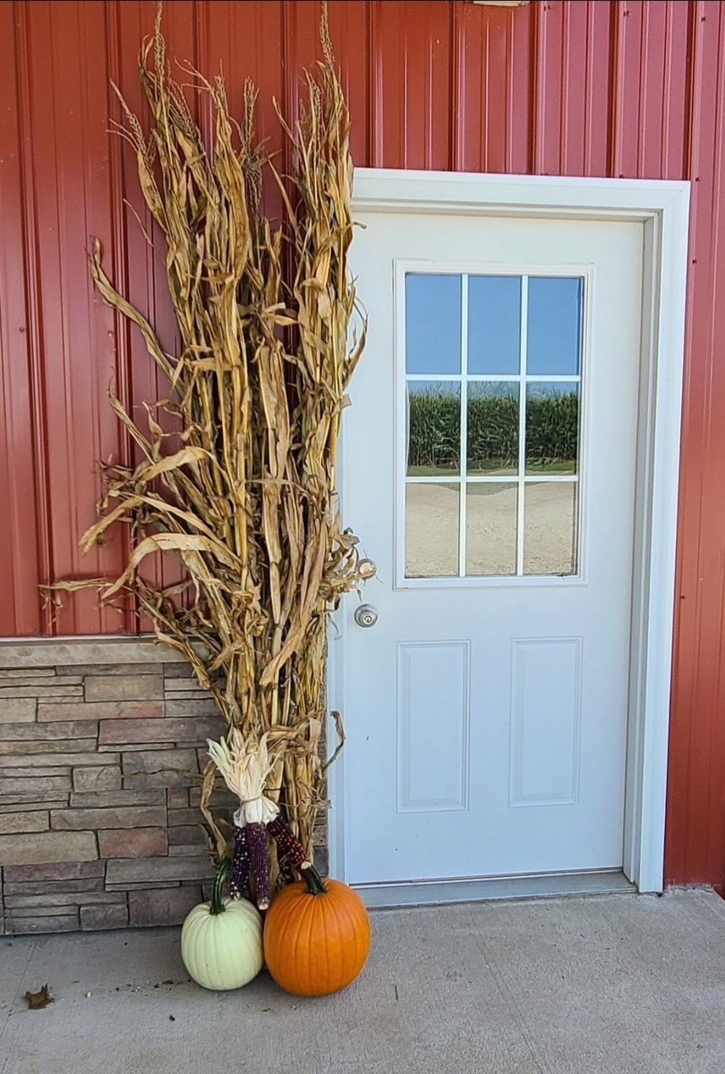 Dried Corn Stalk Decorations