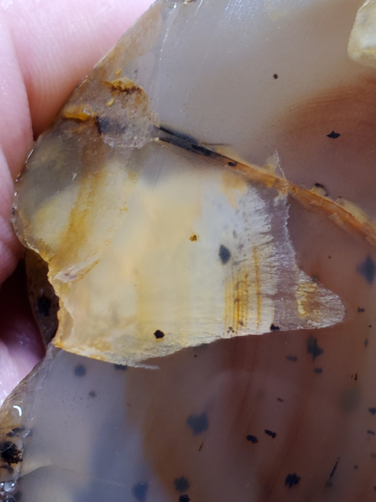 Montana Yellowstone River Agate Rare Sagenite Lapidary 390g Rough ...