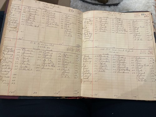 LOT Antique Handwritten Ledger Inventory Book Late 1800s Early 1900s ...