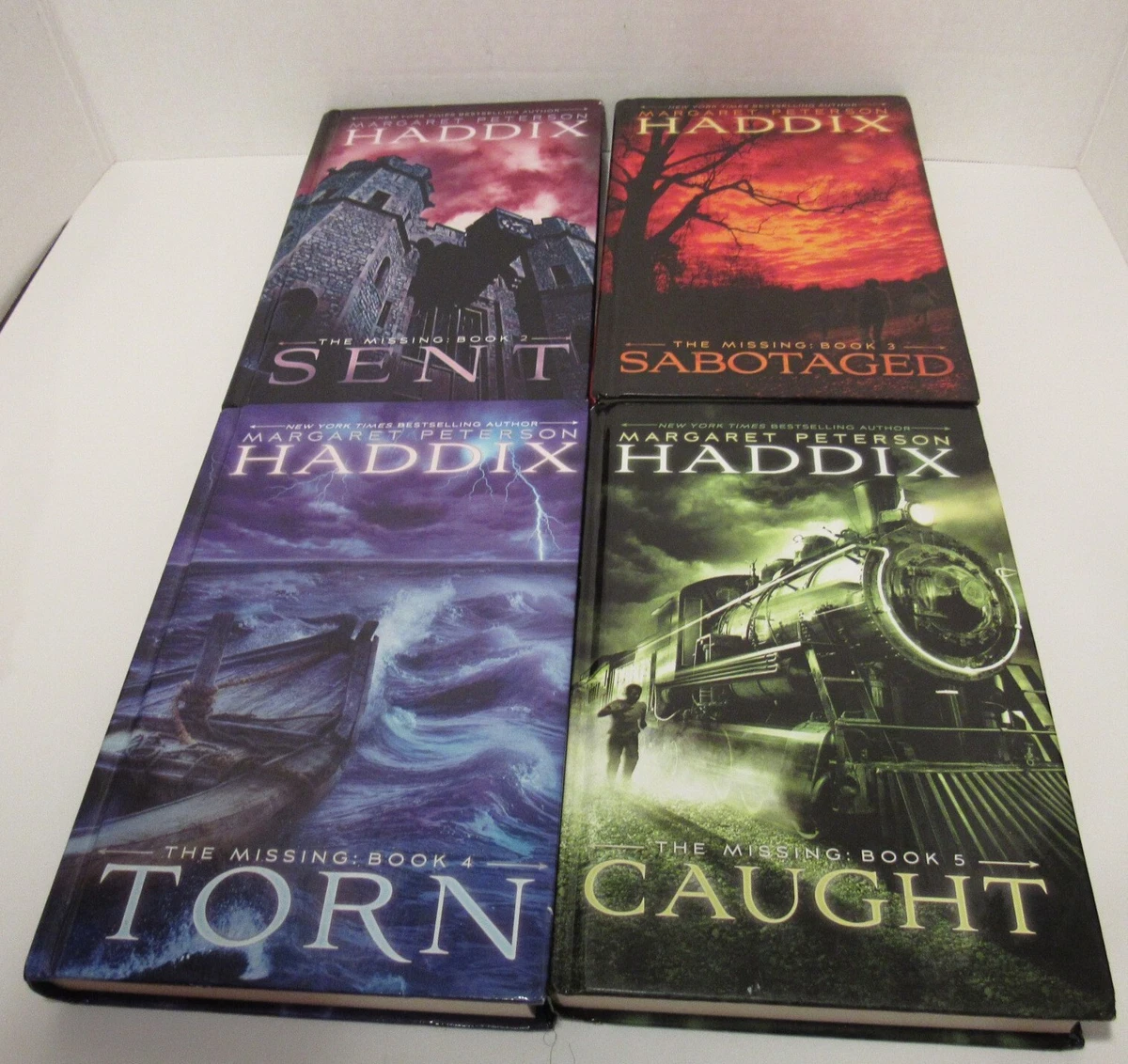 The Missing Book Series