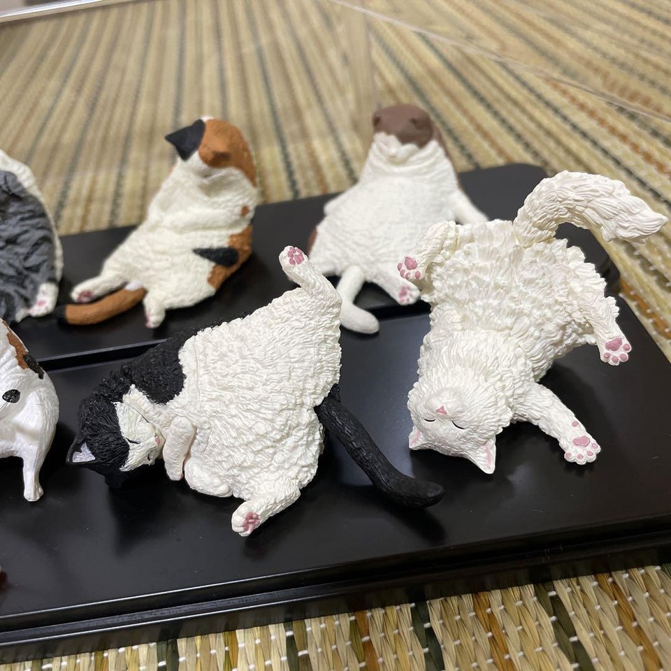 Sleepy Nemu Imada Full Complete Persian Hachiware Ame Show Fishing Day ...