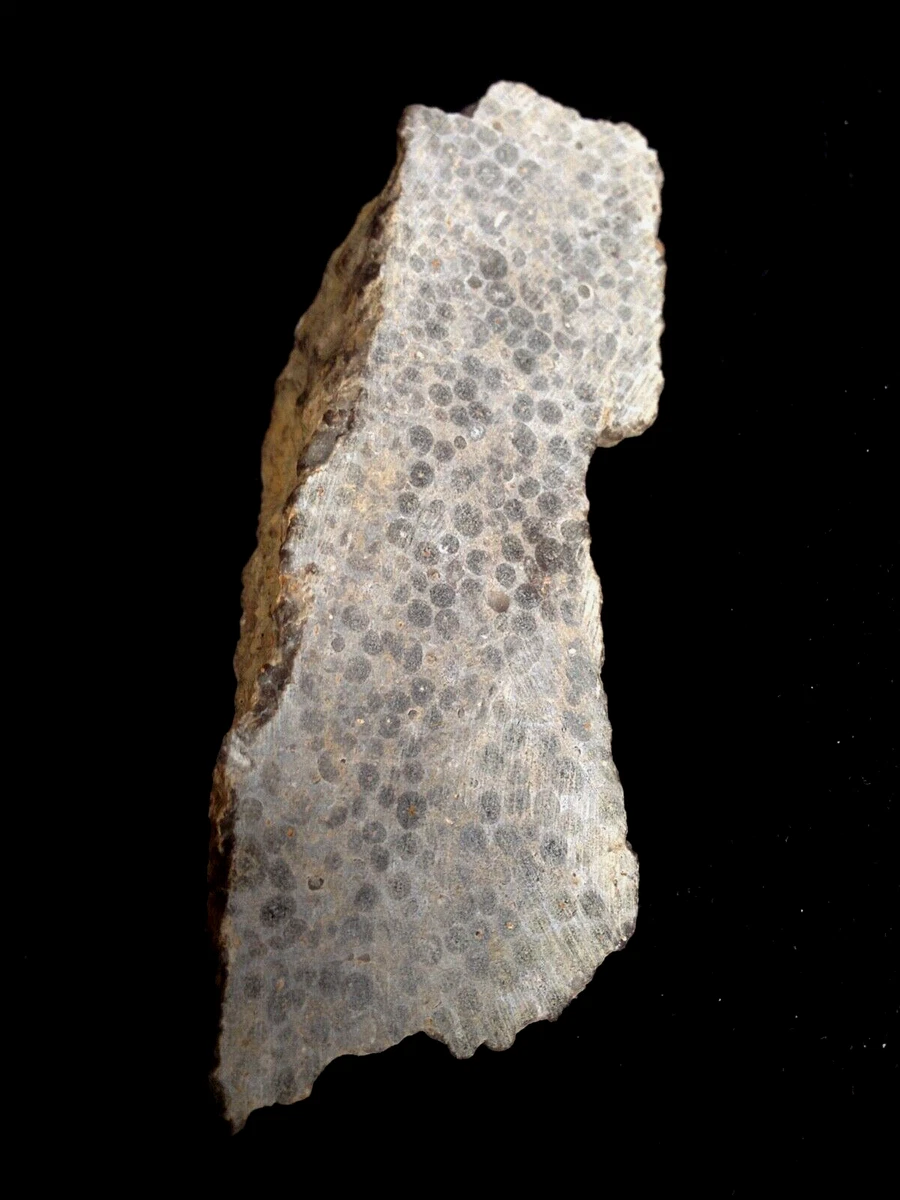Oolite Mineral