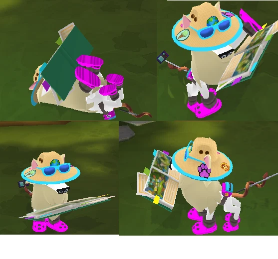 Animal Jam Outfits