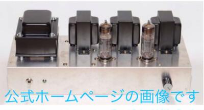 6BM8 Single Power Amplifier Set | eBay