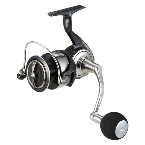 DAIWA large spinning reel 24 Certate SW 5000-P | eBay