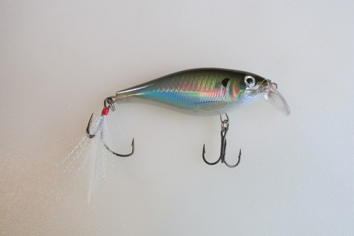 Lot #14000 Rapala X-Rap Shallow Shad XRSH-8 Rattle Jerkbait New Out Of ...