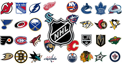 2025-26 NHL Hockey Schedule Magnets Approx 5" X 3.5" or More(Choose ...