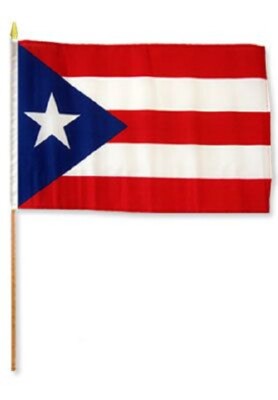 Puerto Rico 12x18in Stick Flag Pack of 10 | eBay