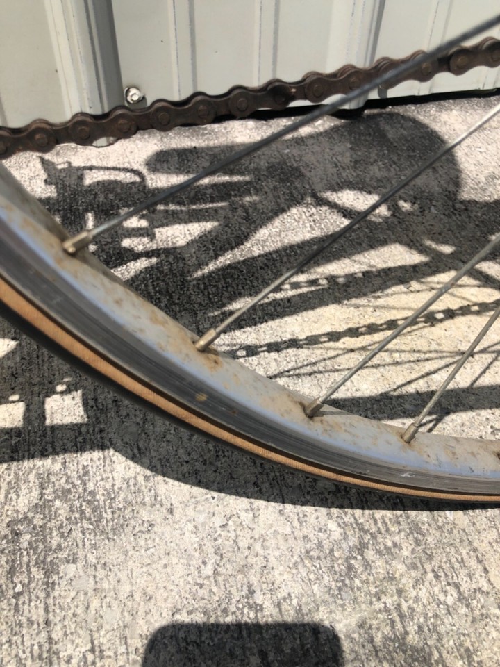 Vintage Giant Perigee Road Bike- 58cm- Cro-Mo- Shimano- 14 Speed 700c ...