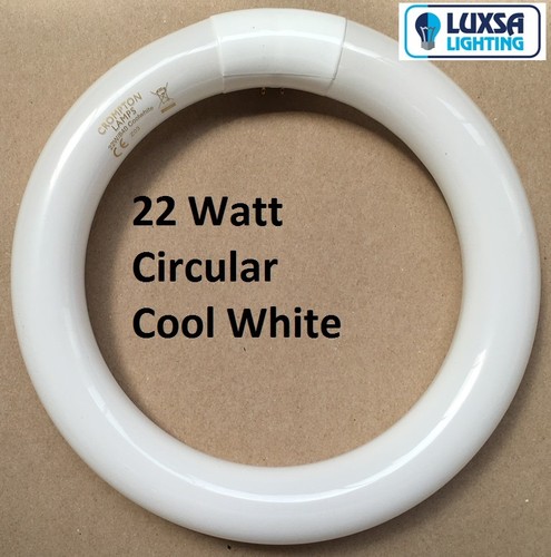 22W T9 Cool White Crompton Circular Fluorescent tube Round FC22W/840 ...