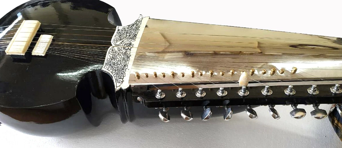 Electric Sarod