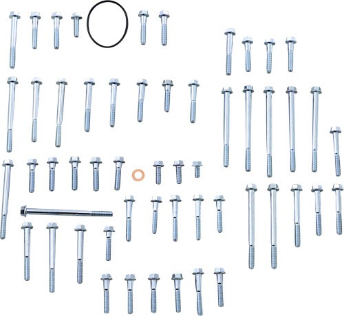 Bolt MC Hardware Bolt Engine Fastener Kits E-CFX4-1920 2401-1206 020 ...