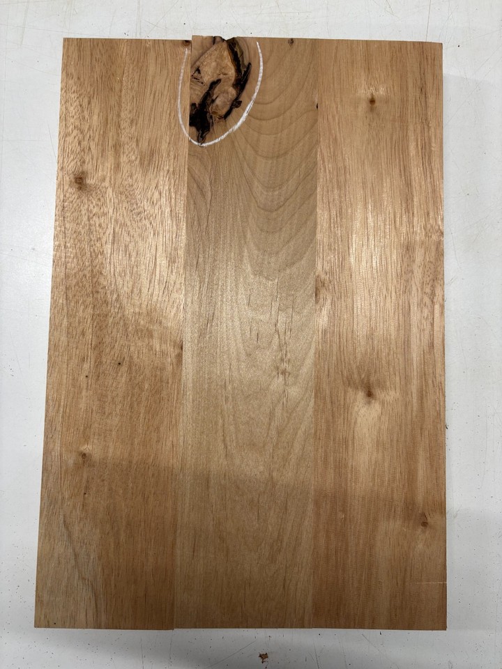 Red Alder+ Spanish Cedar 3 Pcs Glued 21x 14x 1-3/4 Guitar Body Blank ...