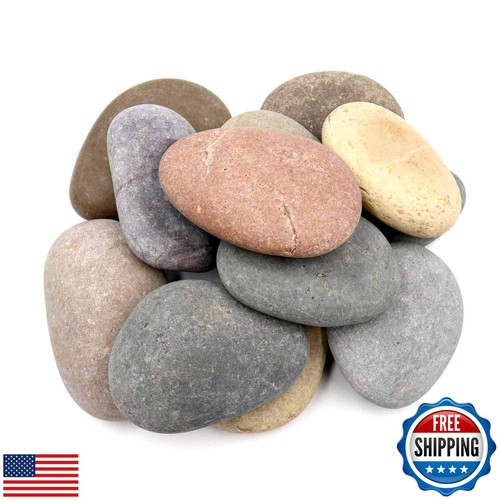 12 Extra-Large Rocks for Painting – Multi-Colored Craft Rock Painting ...