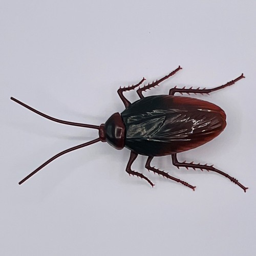 Cockroach Battery Operated Realistic Fake Bug Toy Prank Insect Roach ...