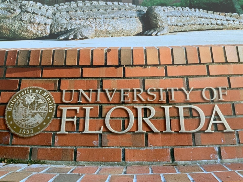 Florida Gators The Swamp Ben Hill Griffin Stadium Gator Statue ...